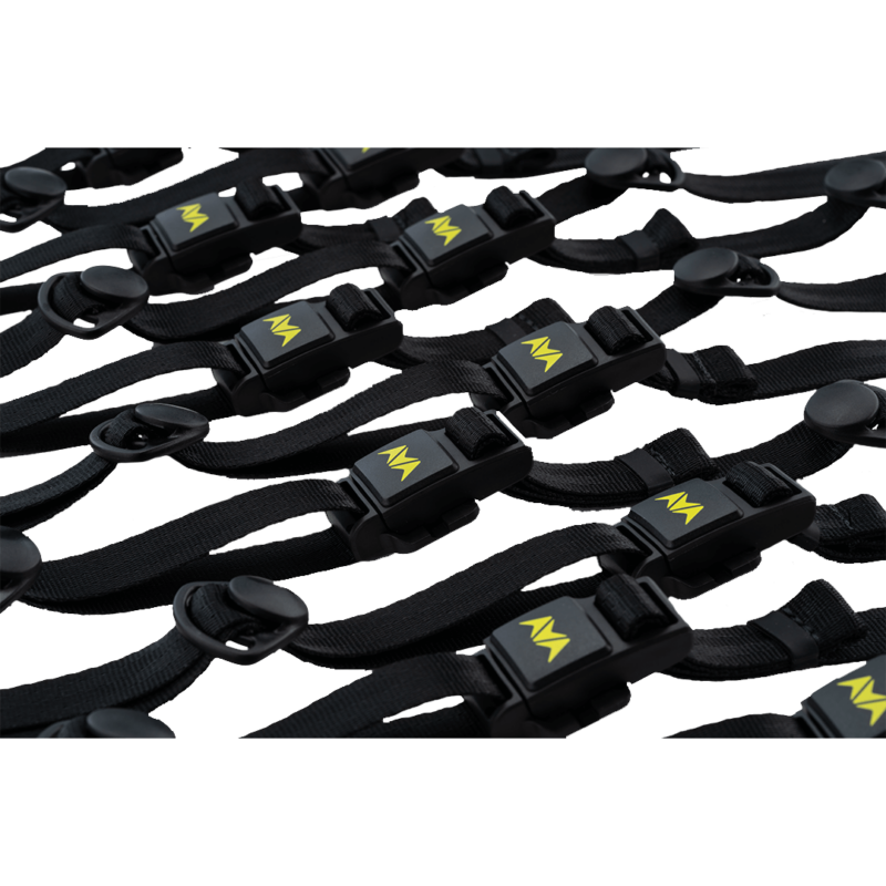 Chinstrap – WaveCel